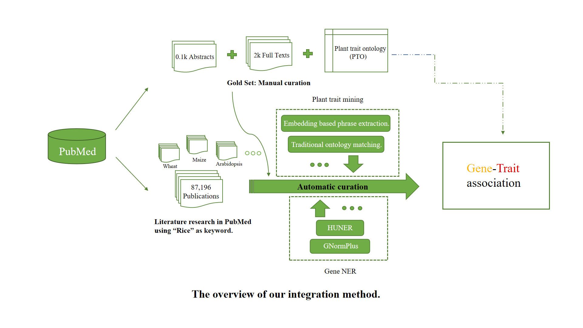 Rice Trait Ontology for Rice Gene-to-Trait Associations – Jingbo's BioNLP Lab