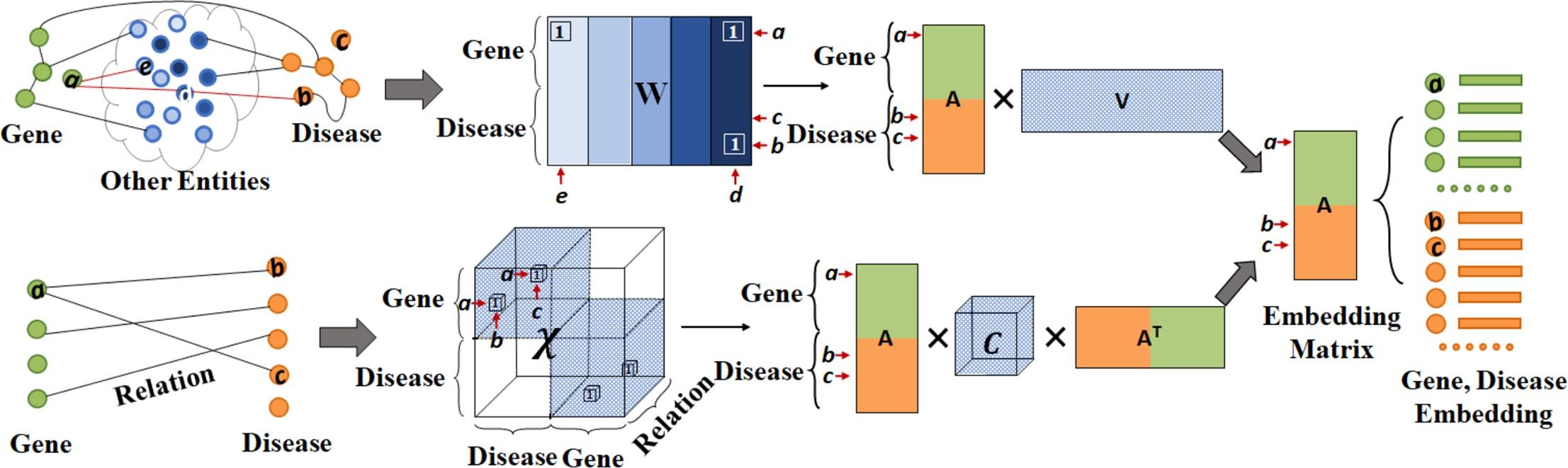 Our matrix/tensor joint decomposition model is published in JBI ...